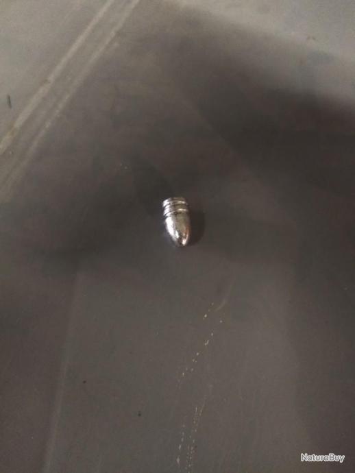 100 Plombs pour carabine air comprimé Bulldog 145 grains - Plombs pour ...