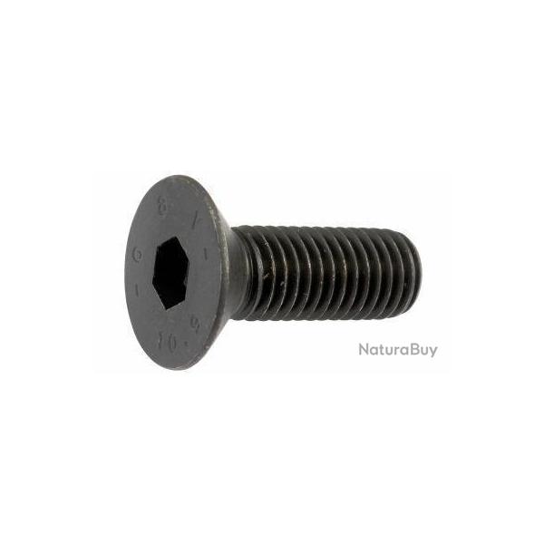 Lot de 10 vis de montage pour point rouge panoramique docter sight et ...