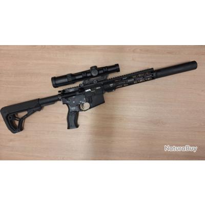 Pack ADC AR15 M5 PLUS PISTOL 300AAC 9,5"+ lunette VectorOptics ...