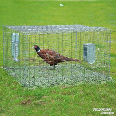 Cage de pré-lâcher galvanisée thermolaquée vert - Cages à oiseaux et ...