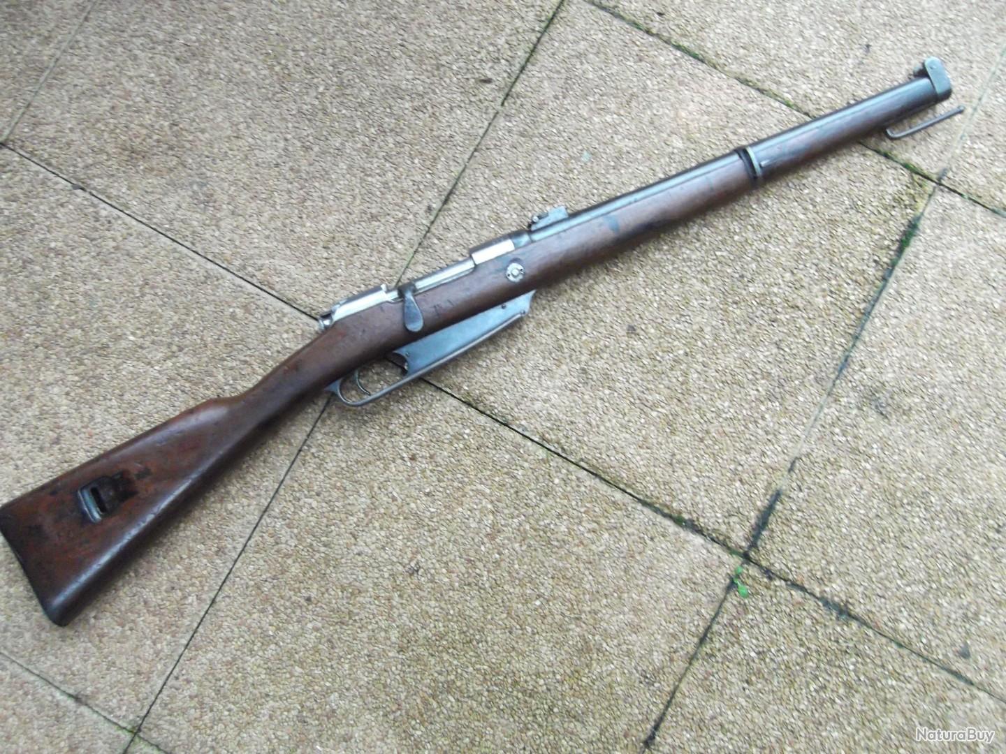 RARE CARABINE D ARTILLERIE GEWEHR 91 - Fusils et mousquetons avant 1900 ...