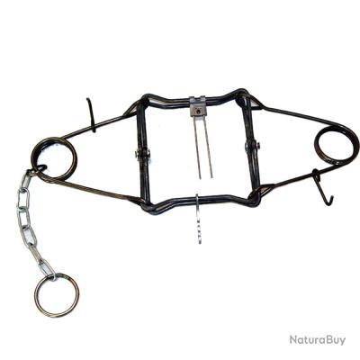 Piège en X - Double ressort - 13 x 13 cm - Pièges cages et belettières ...