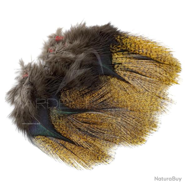 Plumes Pardo Florian Stephan grade 1 Flor d´escoba - Plumes (13750442)