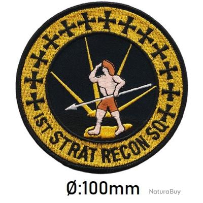 1st STRATEGIC RECONNAISSANCE SQUADRON ( 1990 ) ( 9th SRW ) - Insignes ...