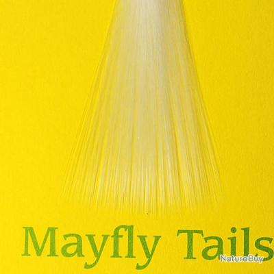 Mayfly tails blanc - Corps, ailes - cerques (13989111)