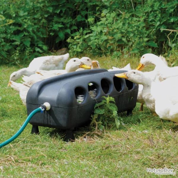Abreuvoir automatique canards et oies 75 X 25 X 27 cm - Abreuvoirs et ...