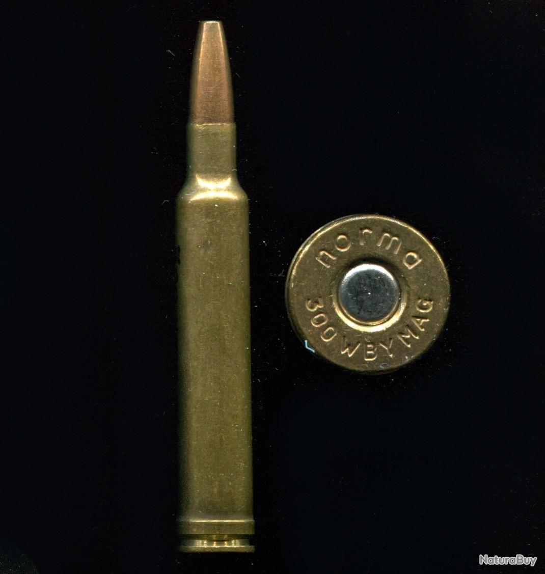 .300 Weatherby Magnum - balle cuivre pointe creuse - marquage : norma ...