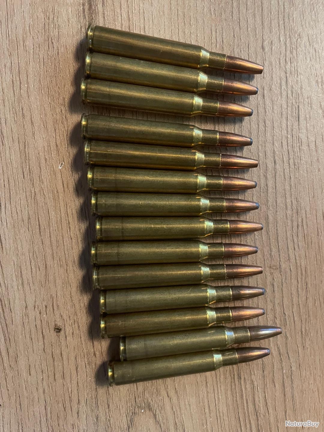 Balles 7x64 Norma en vrac x14 - Balles Calibre 7x64 (14234632)