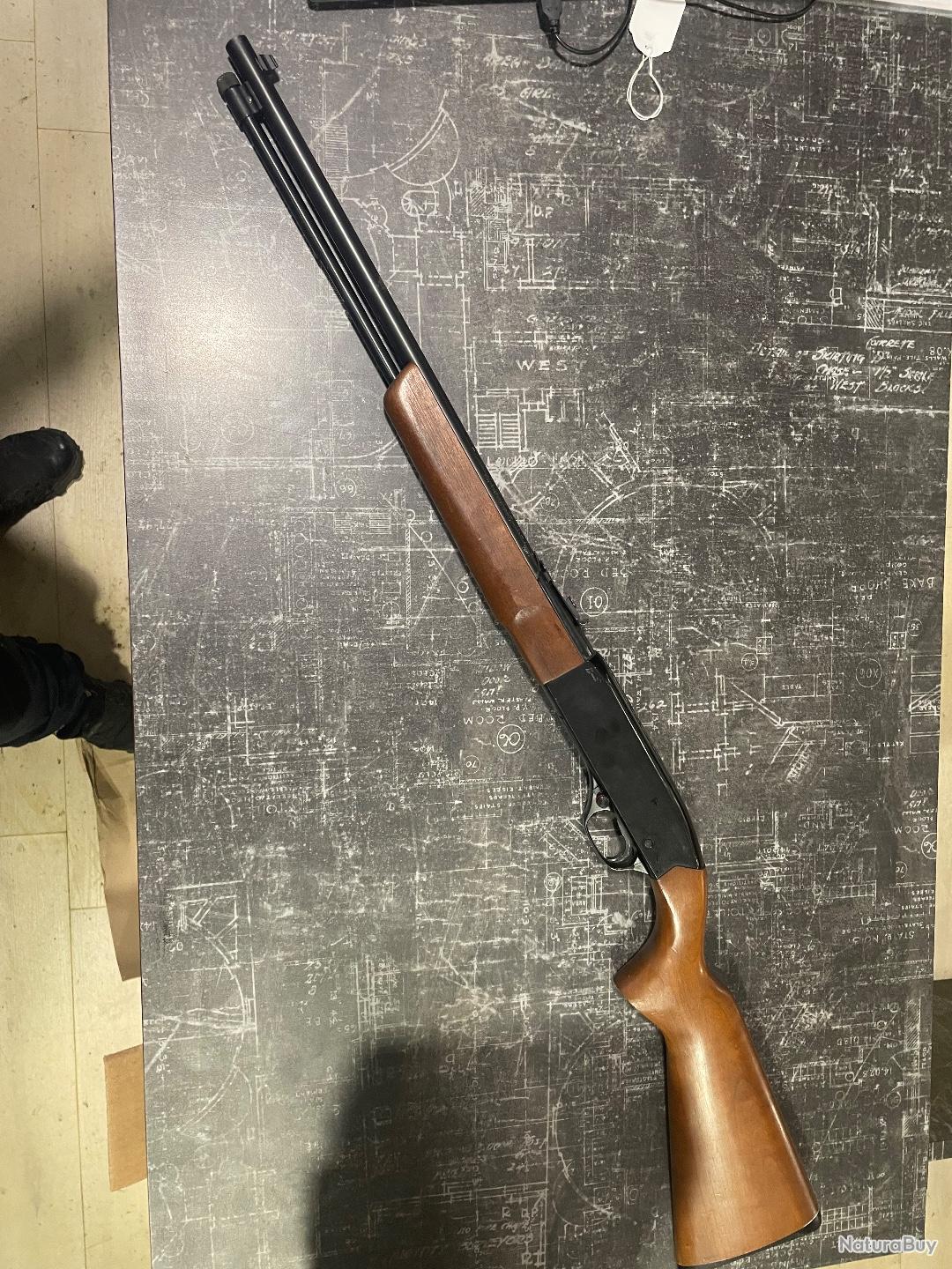 CARABINE WINCHESTER MODEL 190 22LR - Carabines semi-automatiques de ...