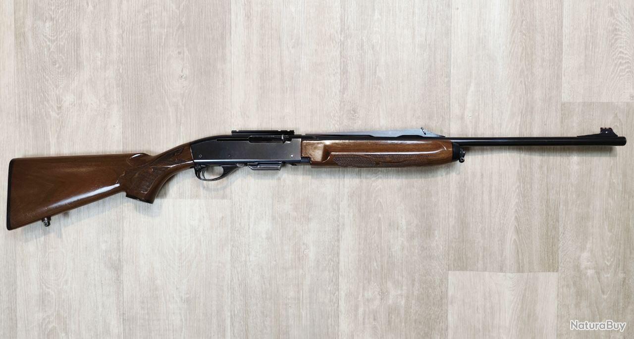 Carabine Semi Automatique Occasion