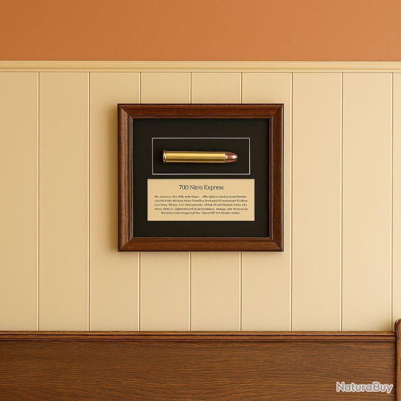 Cadre " 700 Nitro Express" - Décoration d'intérieur (14351799)