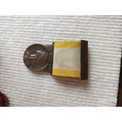 Médaille de la grande guerre. Engagé volontaire - Médailles ...