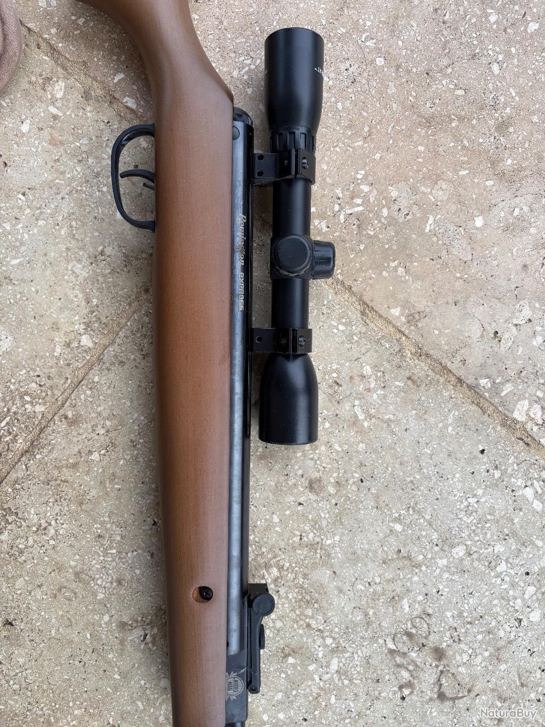 Carabine 4.5 19.9 joules - Carabines à plomb moins de 20 joules (14381521)