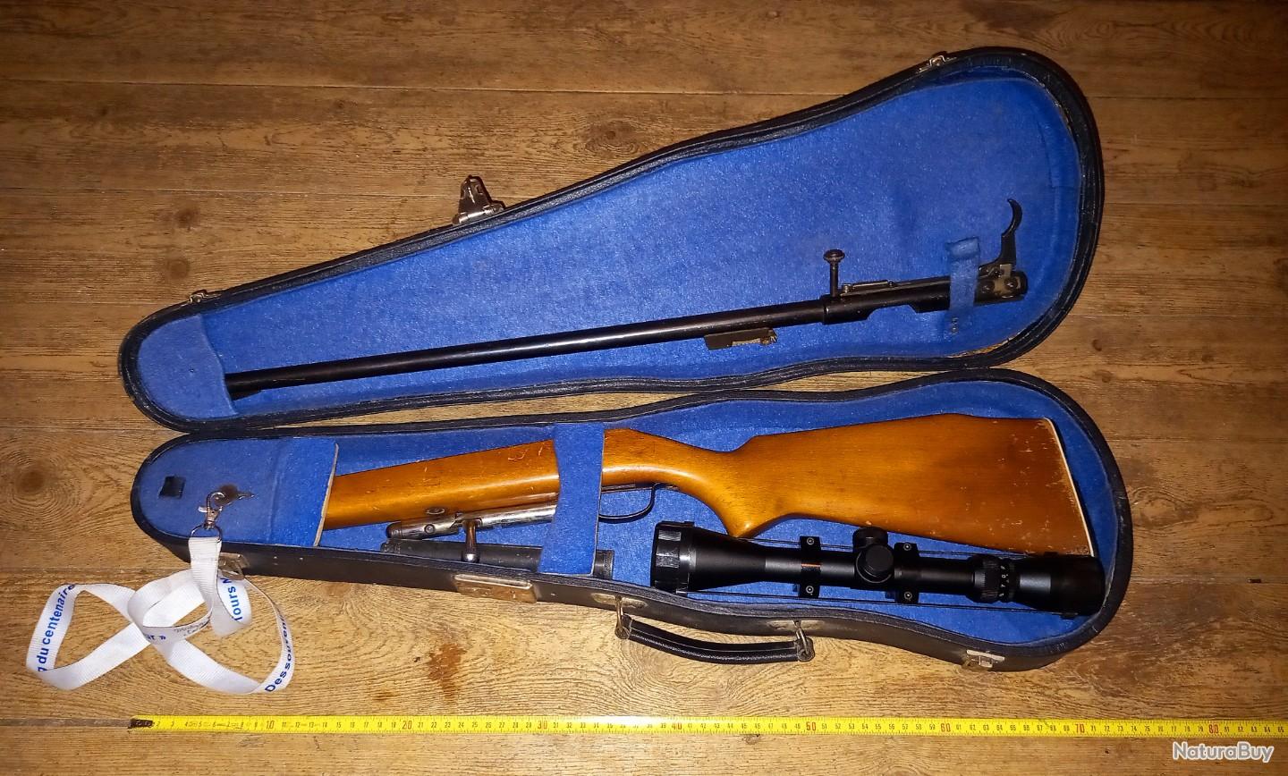 Carabine 22LR Piot Le page avec lunette et silencieux dans un étui à ...