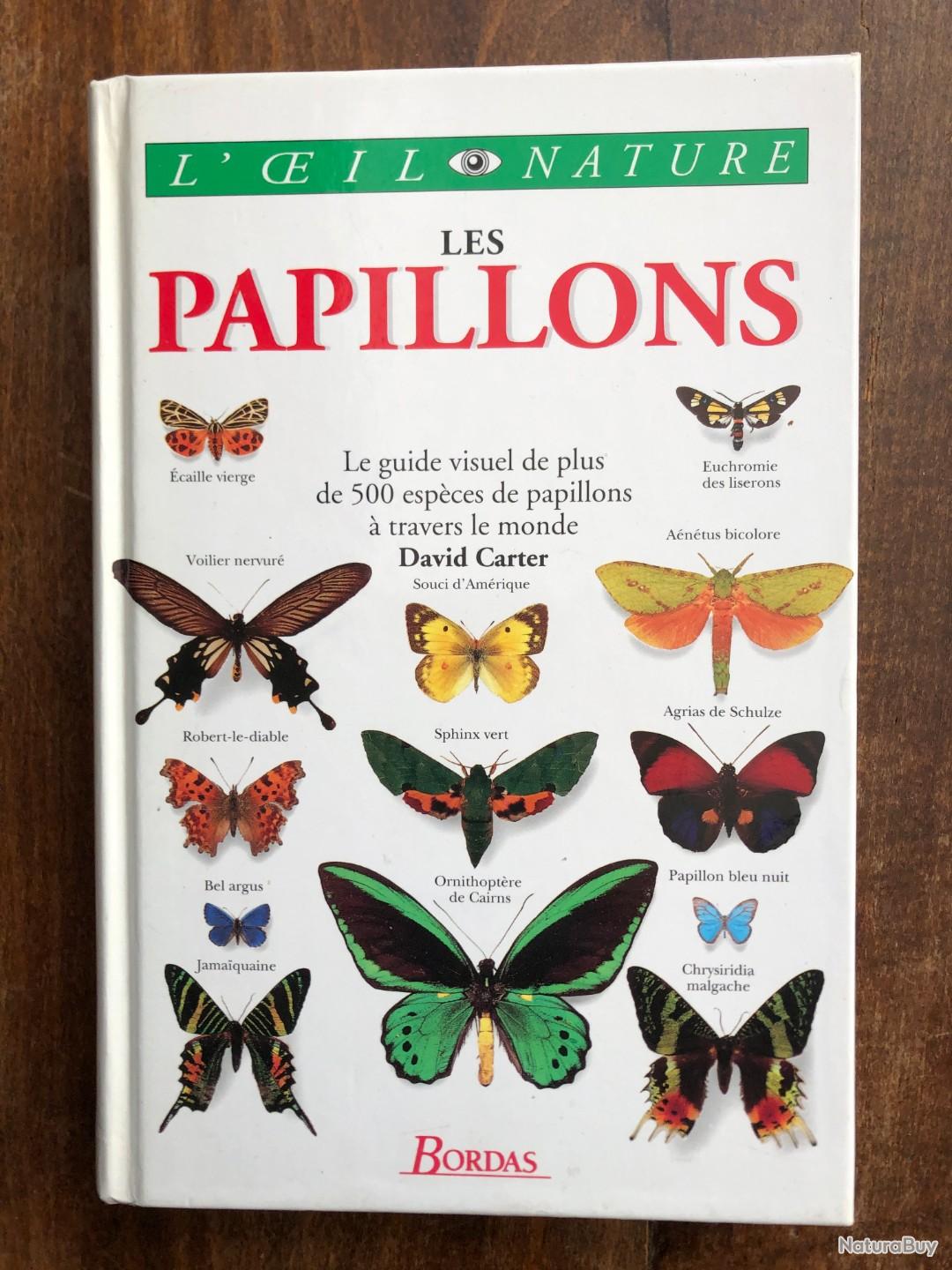 Les papillons, le guide visuel de plus de 500 espèces de papillons ...