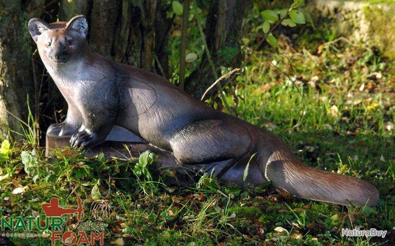 NATURFOAM - MARTRE - Cibles (14433164)