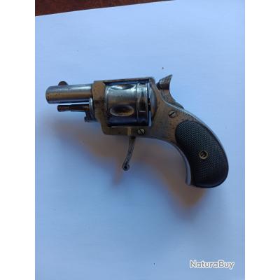 Revolver bulldog 1880 - Revolvers bulldog et velodog (14553656)