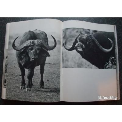 Chasse d'Afrique de Philippe Diolé et Jean Dragesco 1965 - Livres de ...