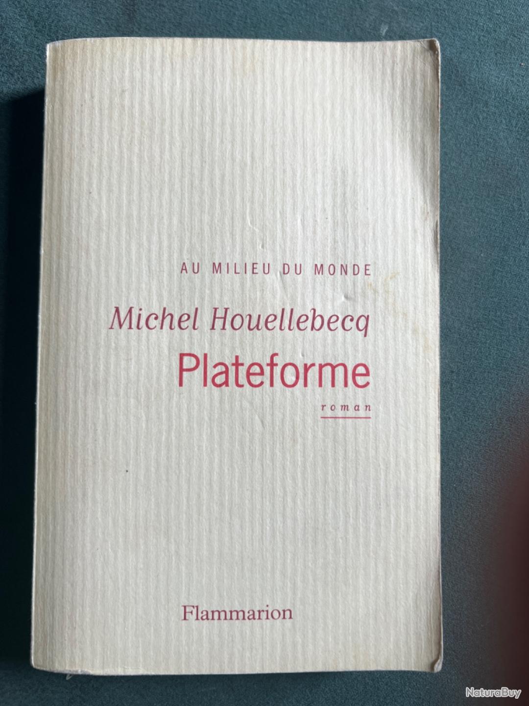 Plateforme, Michel Houellebecq, Flammarion 2001 - Autres Livres, K7 et ...