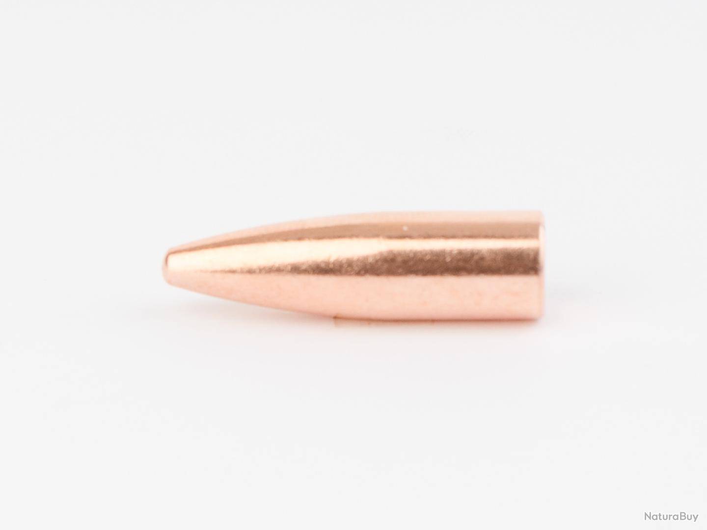 Cam Pro Calibre .308 SP-FCP 165 grains X500 - Ogives (15156818)