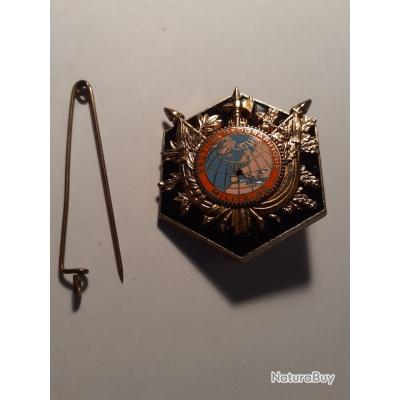 1 insigne section geographique MILITAIRE - Insignes - Pucelles ...