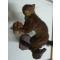Taxidermie Ecureuil sur une branche - Trophées petits gibiers (15237261)