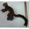 Taxidermie Ecureuil sur une branche - Trophées petits gibiers (15237261)