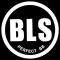 BLS Bille Biodegradable 0.45gr 1000 bbs - Lestages de corps (15177150)