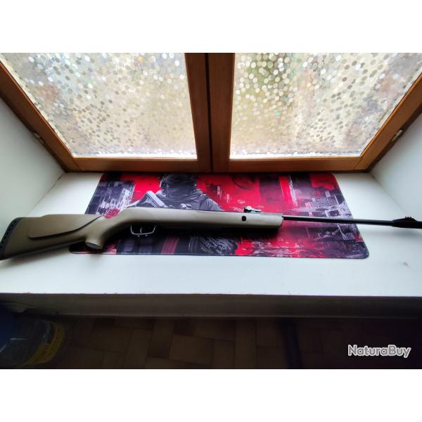 Carabine à plomb (4,5mm) Gamo Big Cat 1000E Barricade - Carabines à ...