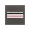 Grade de poitrine Armée de Terre Sous Lieutenant Argent - Epaulettes ...
